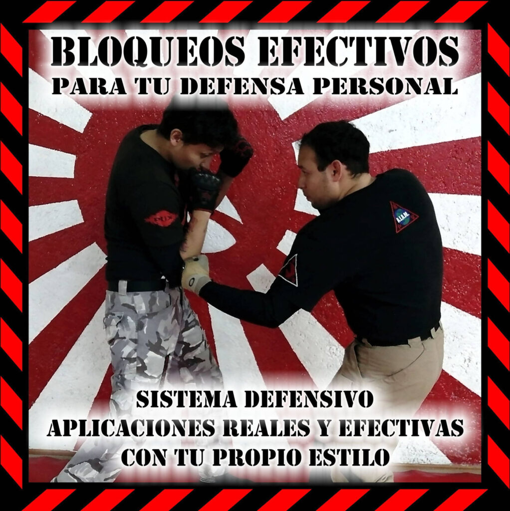Bloqueos para defensa personal - What The Health!