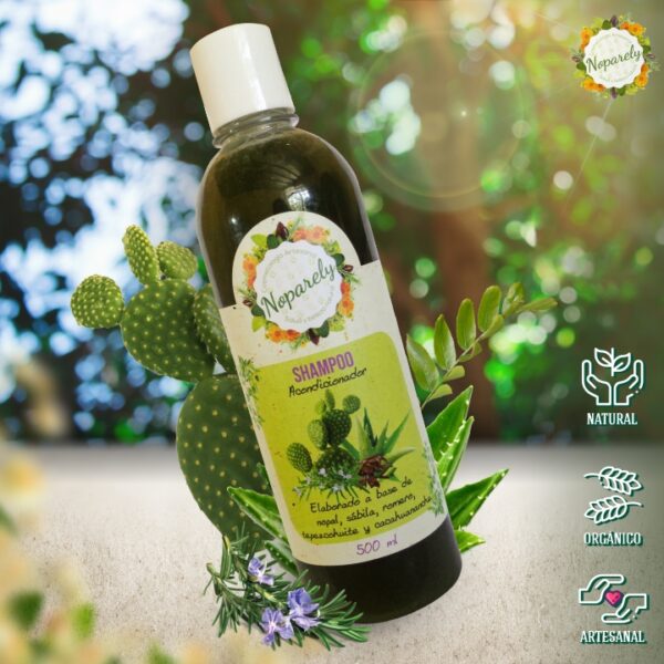 Shampoo de nopal con sábila, romero, miel, tepezcohuite y cacahuananche ...