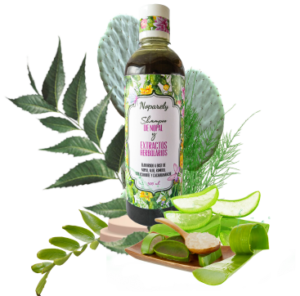 Shampoo de nopal con sábila, romero, miel, tepezcohuite y cacahuananche ...